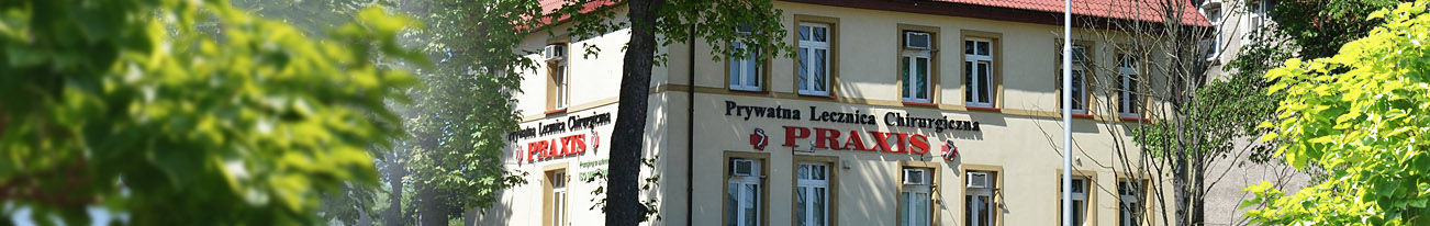 Polityka jakości - Praxis